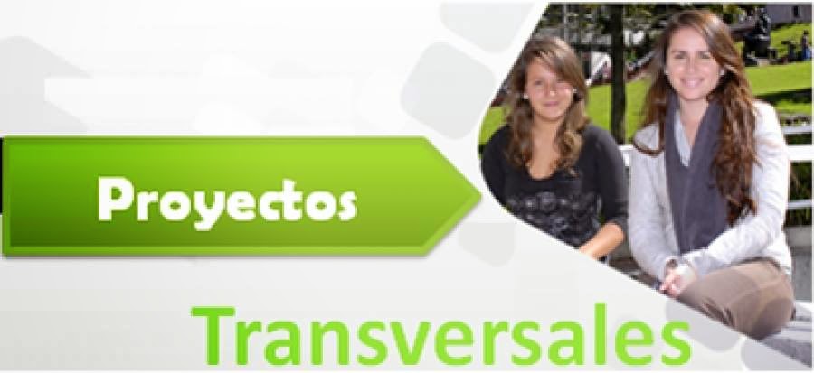 POLITICAS EDUCATIVAS: PROYECTOS TRANSVERSALES